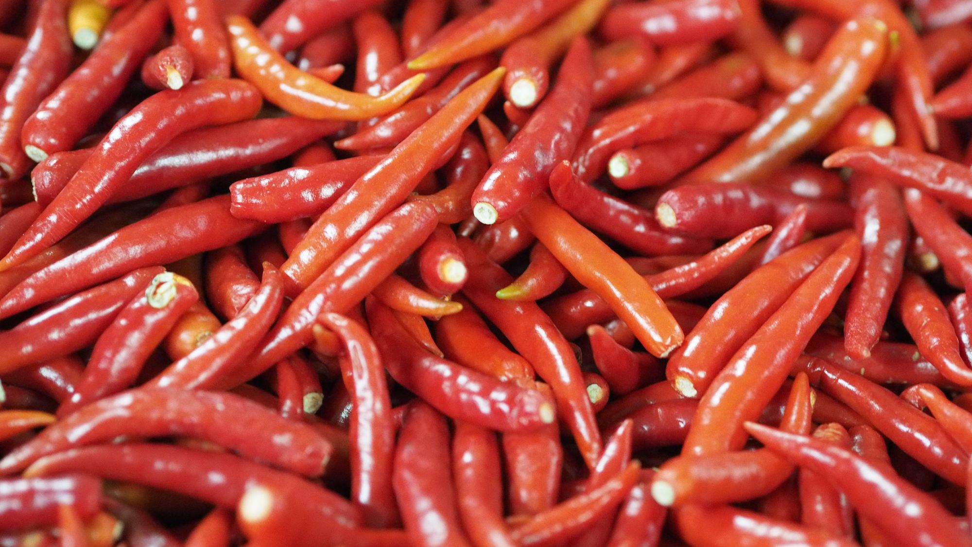 Frozen Red Chili - Thai Food Supplier and Manufacturer