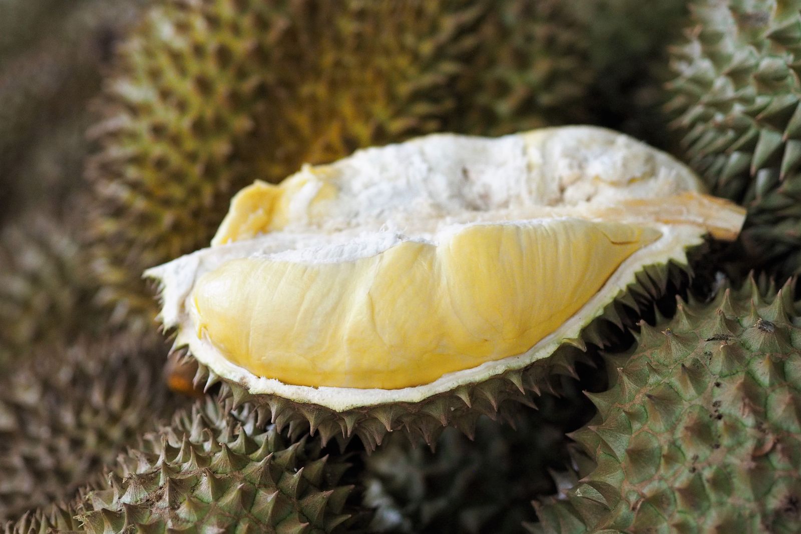 Frozen Monthong Durian - Thai Food Supplier and Manufacturer