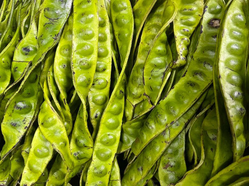 Frozen Sa-tor (Stink Bean) - Thai Food Supplier and Manufacturer